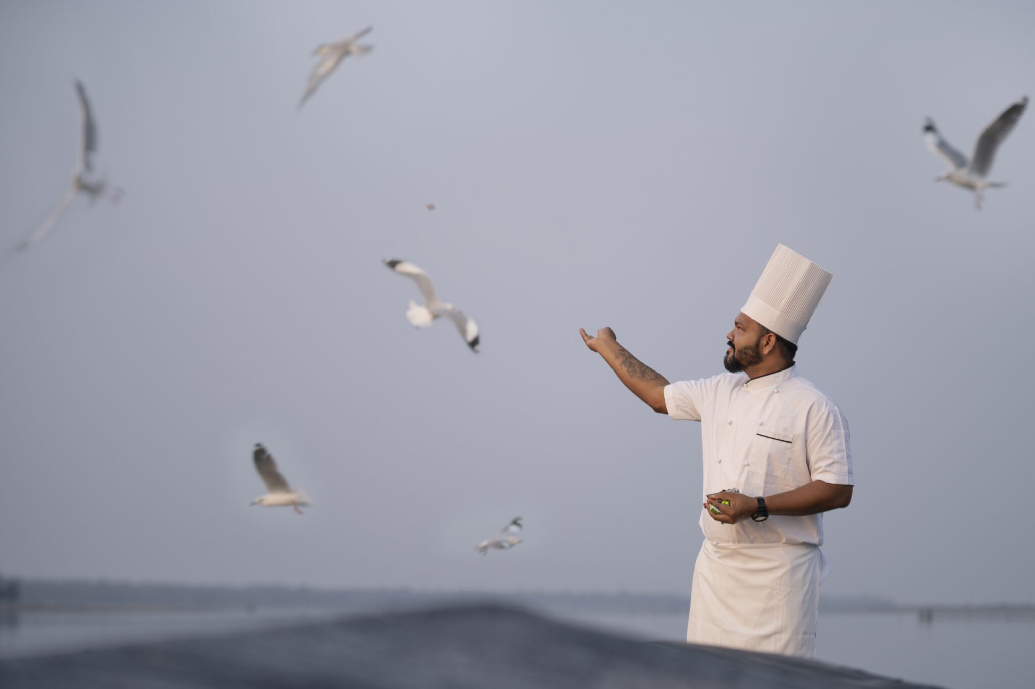 Michaels Island Resort - Experience The Soul Of Chilika Through The ...